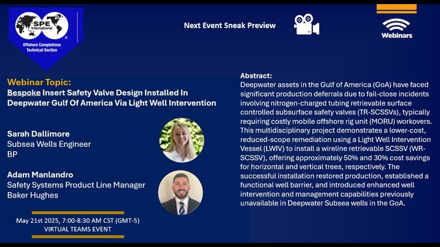 Technical Section Webinar: Bespoke Insert Safety Valve Design Installed ...